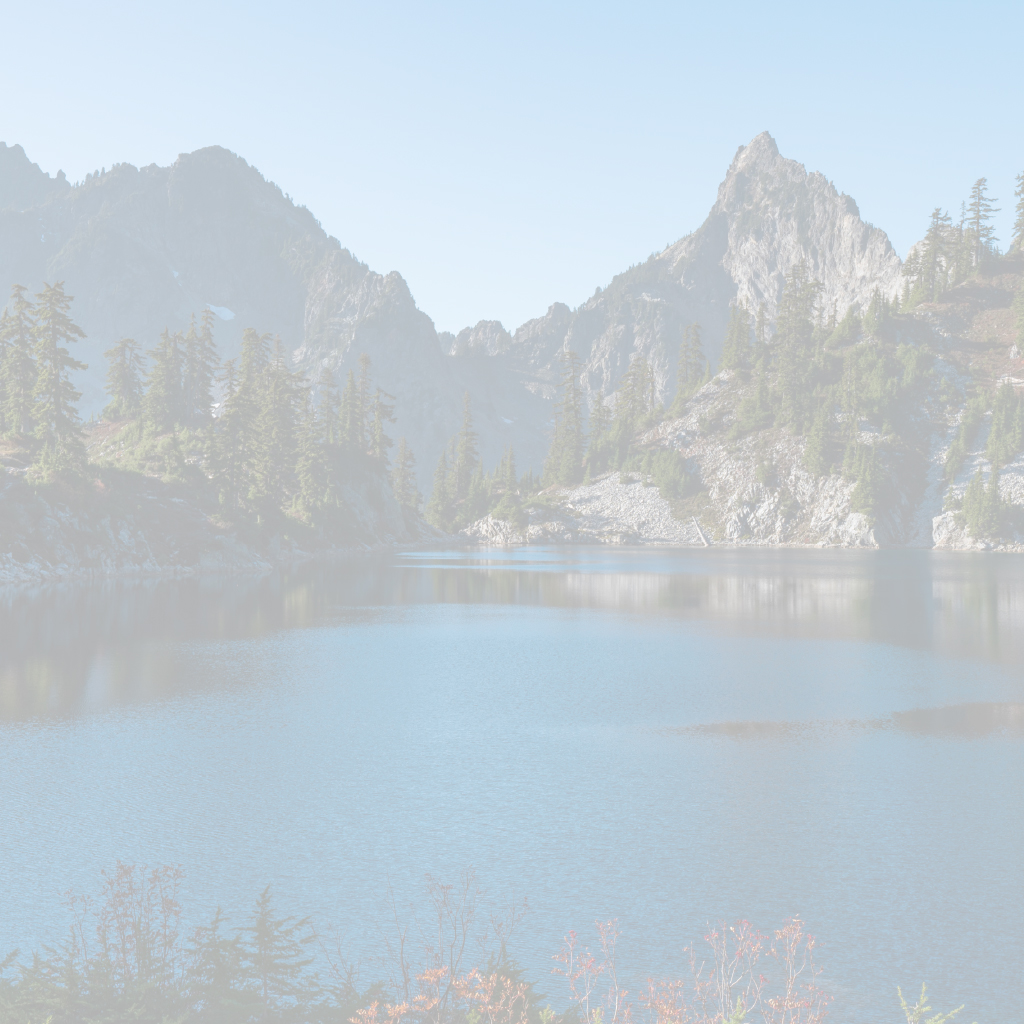 YETI - Drive Merchandise